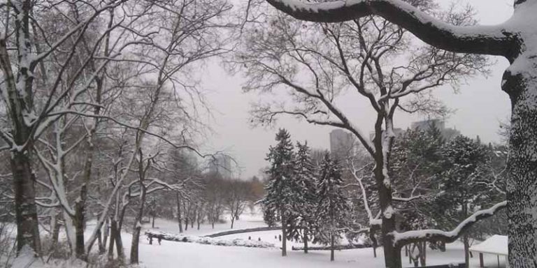 Estas son las mejores cosas que hacer en Toronto en invierno