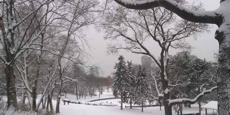 Estas son las mejores cosas que hacer en Toronto en invierno