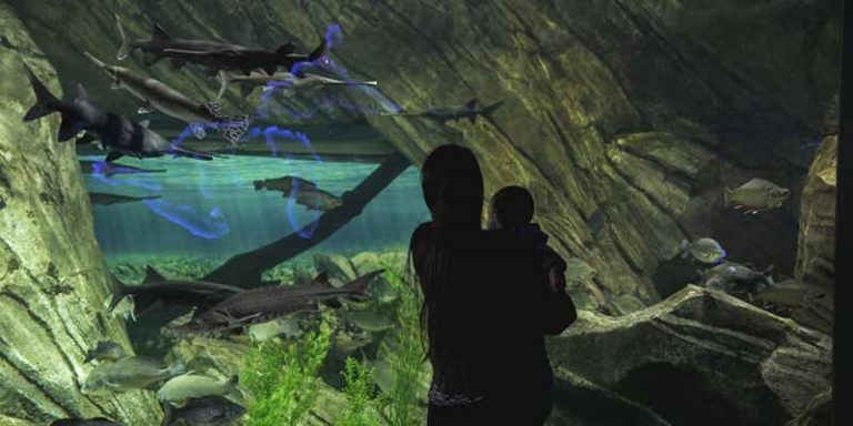 Estas son las mejores cosas que hacer en Toronto en invierno